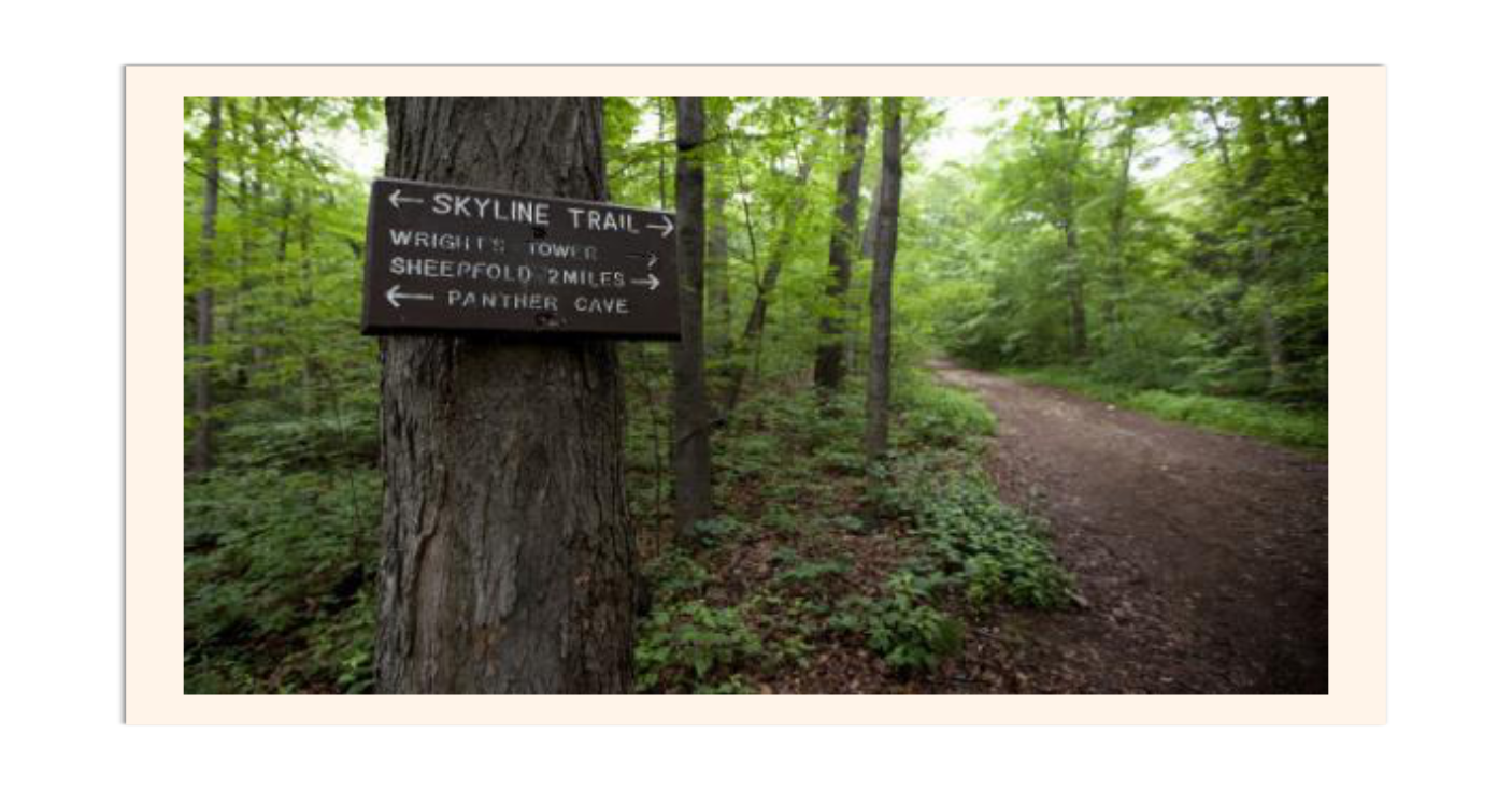 Landmarks – BeeExplorer